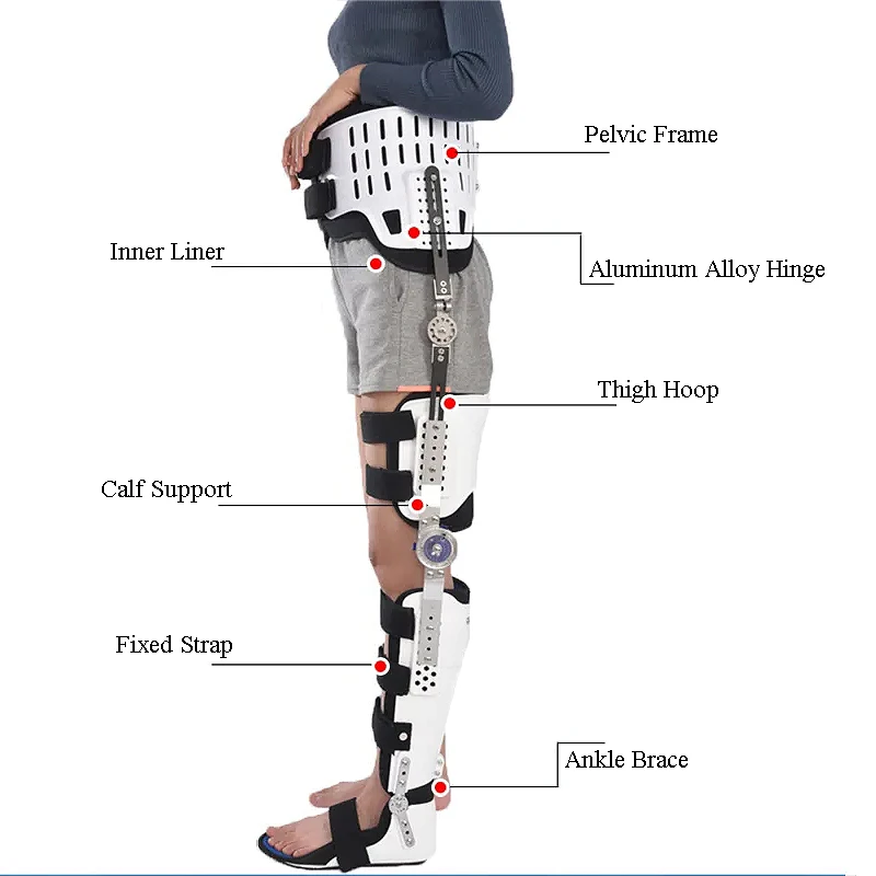Medical Fracture Rehabilitation Adjustable Joint Arthritis Hinged Leg ...