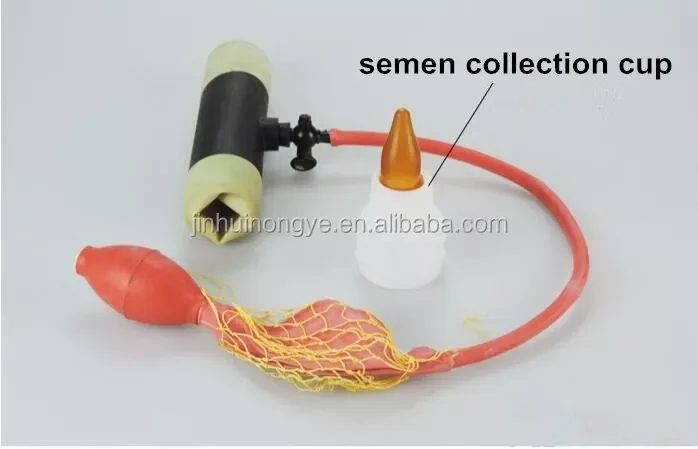 JINHUI Animal Sperm Collector - Efficient Artificial Insemination