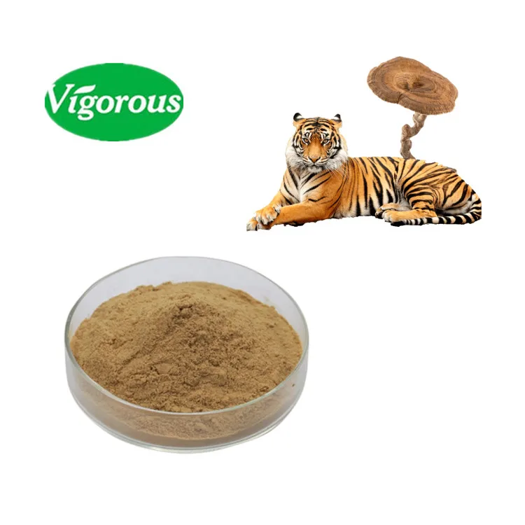 Organic Pure Natural Lignosus Rhinocerus 30% Polysaccharides Tiger Milk ...