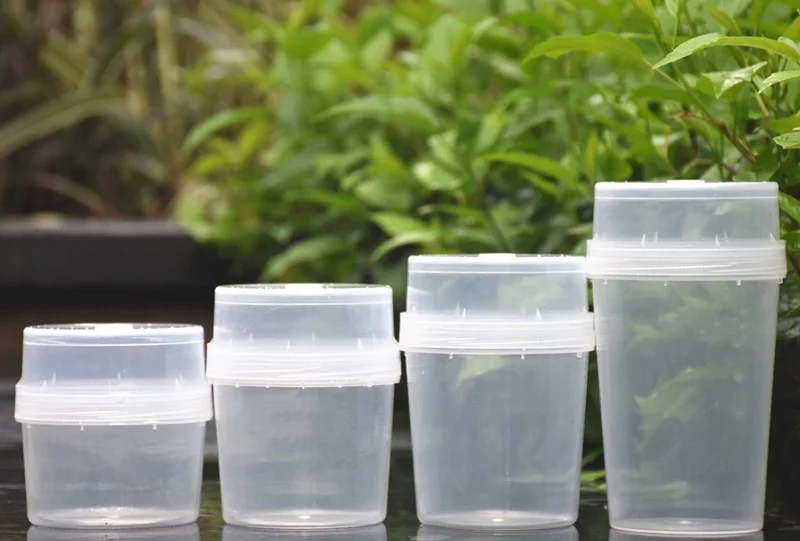 4lab Plastic Tissue Culture Bottles - Durable & Cost-effective