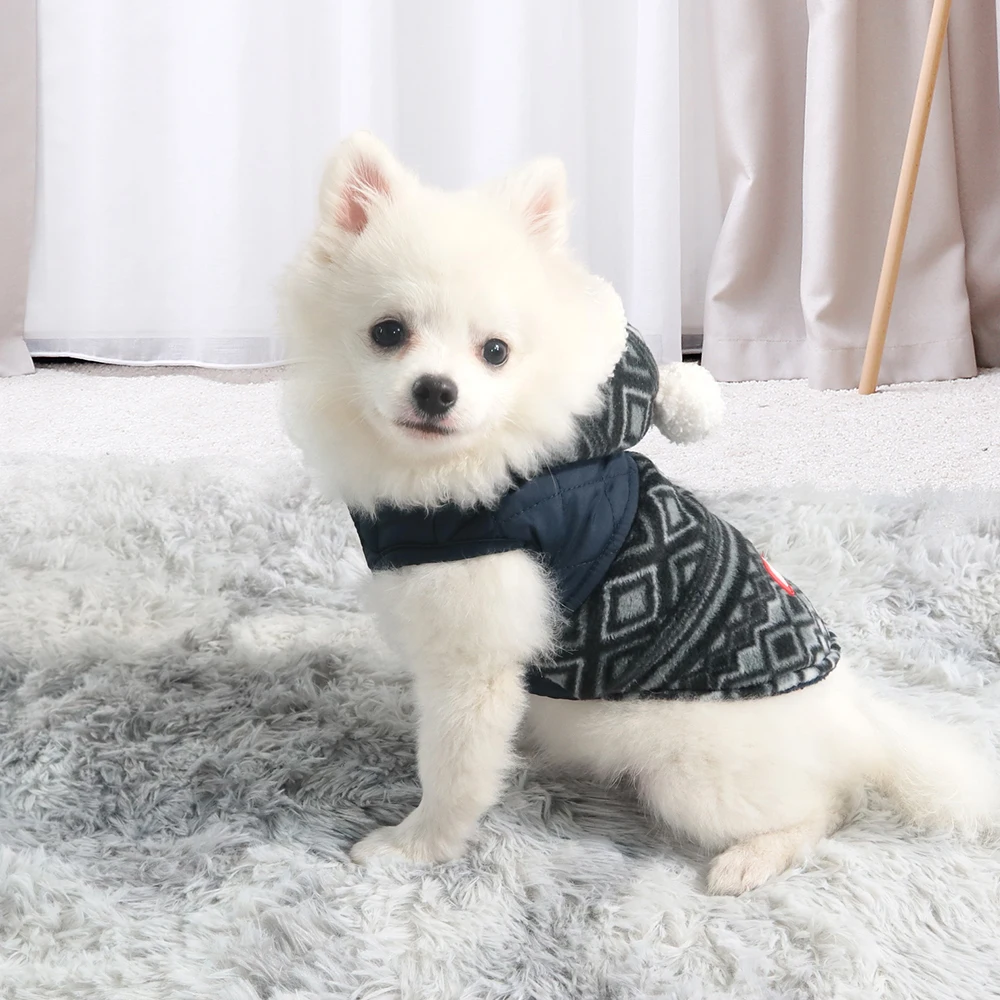 Can Azo Be Given To Dogs