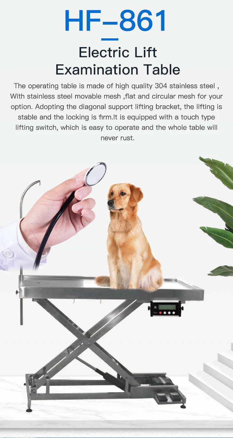 861 Electric Veterinary Instrument Lifting Examination And Surgical ...