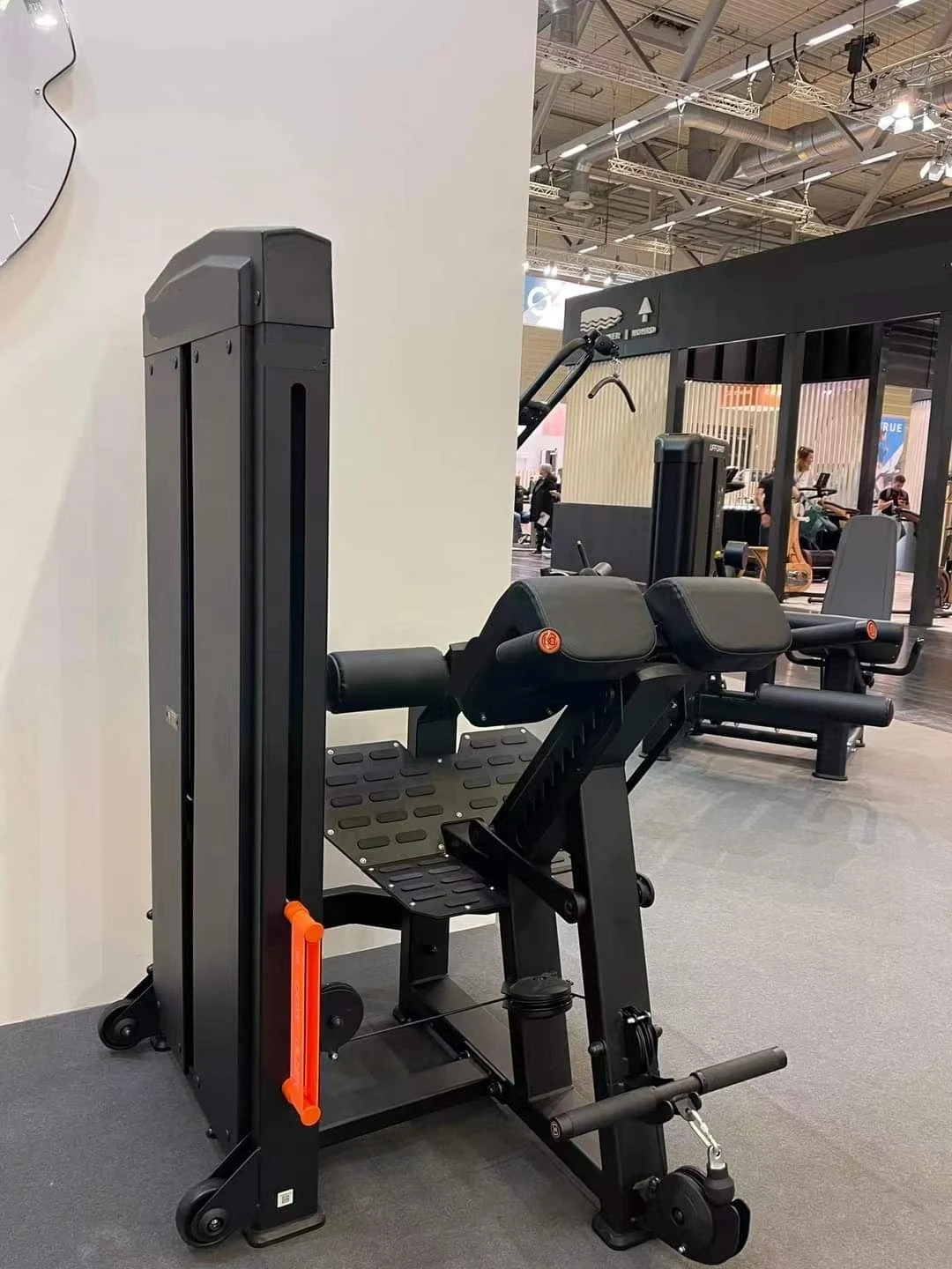 Fitness Body Building Machine Commercial Seated Back Extension Curl Gym ...