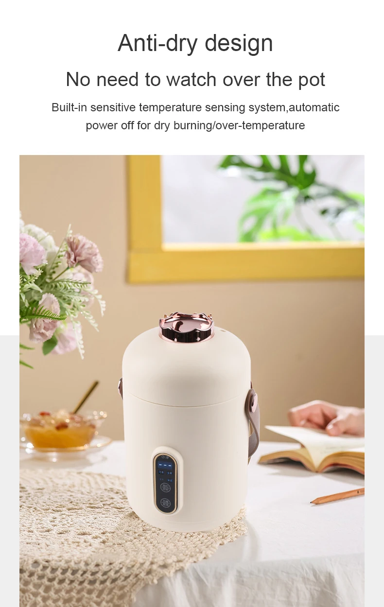 Heating Hot Water Boiling Kettle Health Electric Stew Pot Soup Porridge ...