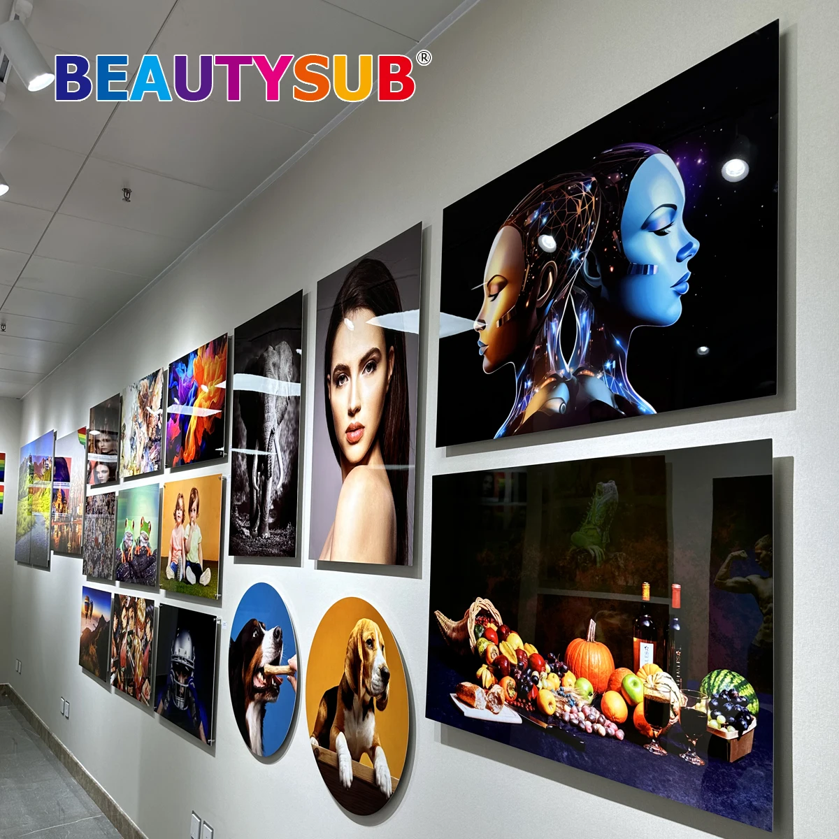 HD Metal Prints - Premium Sublimation Aluminum Plates