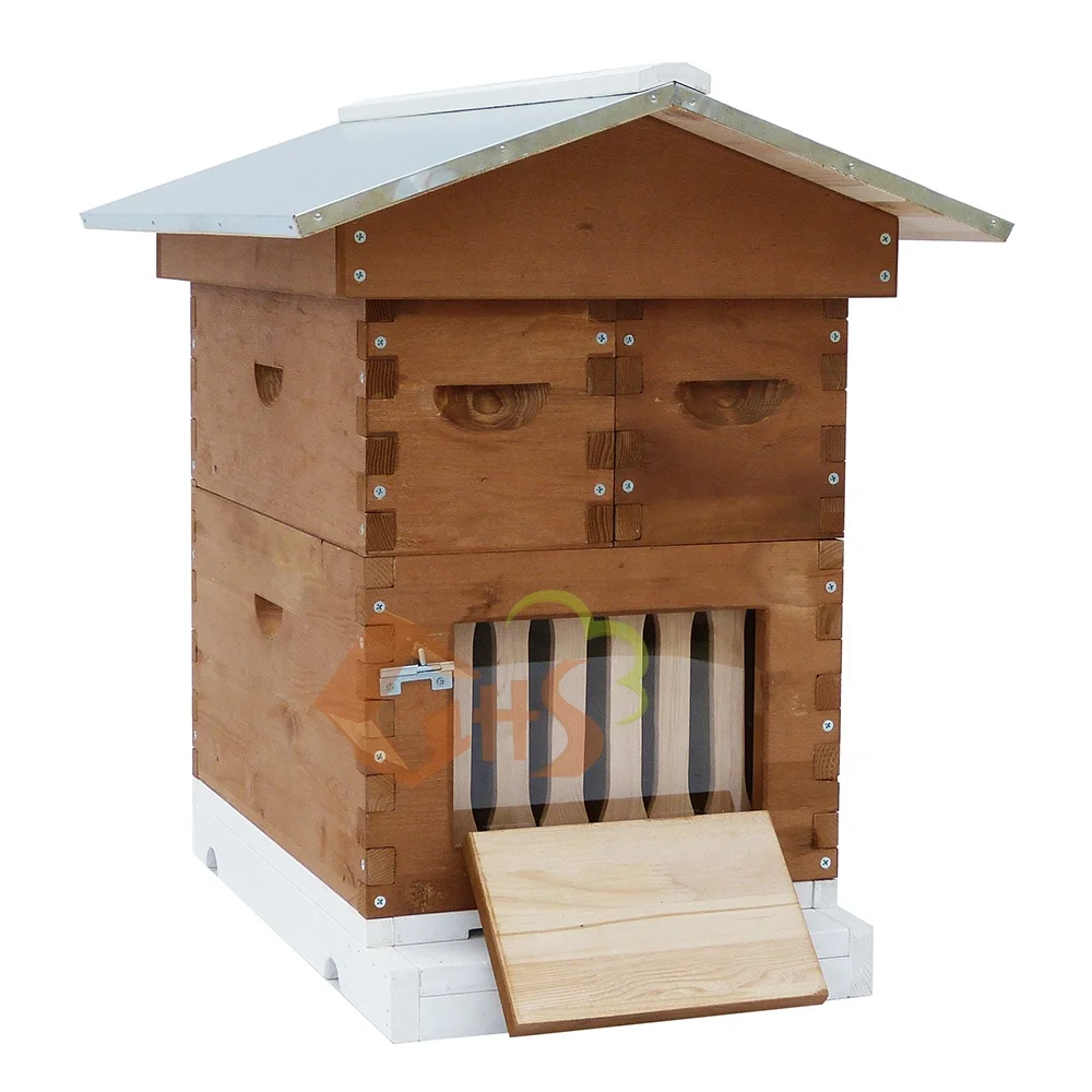 Wooden Bee Nest Box Beekeeping Hives Box Queen Rearing Hive for Sale ...
