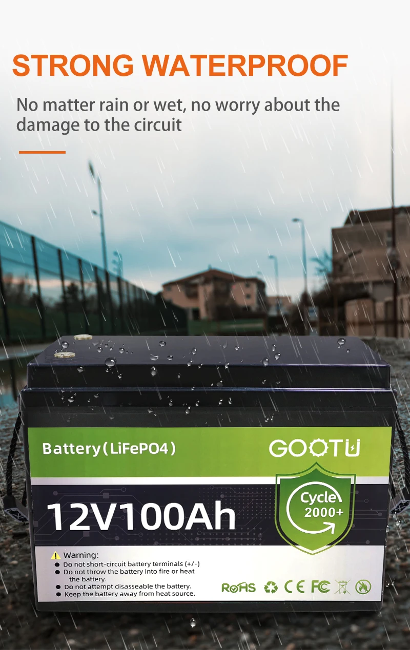 LiFePO4 Battery 6000 Times Cycle Grade a Battery Cell Built in BMS 12V ...