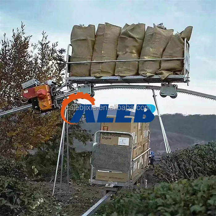 Gasoline Monorail Conveyor YSJ-200 for Agricultural Rail Transport ...