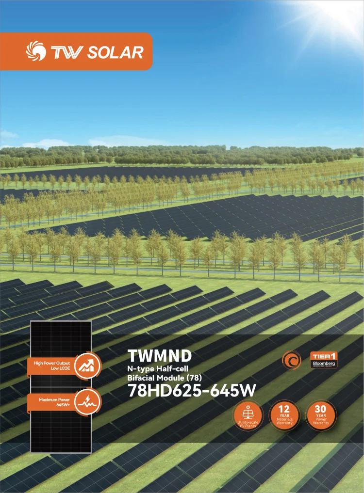 TW Solar Module Bifacial TWMND 78HD 620-640W Solar Panel 610w 620w 630w ...