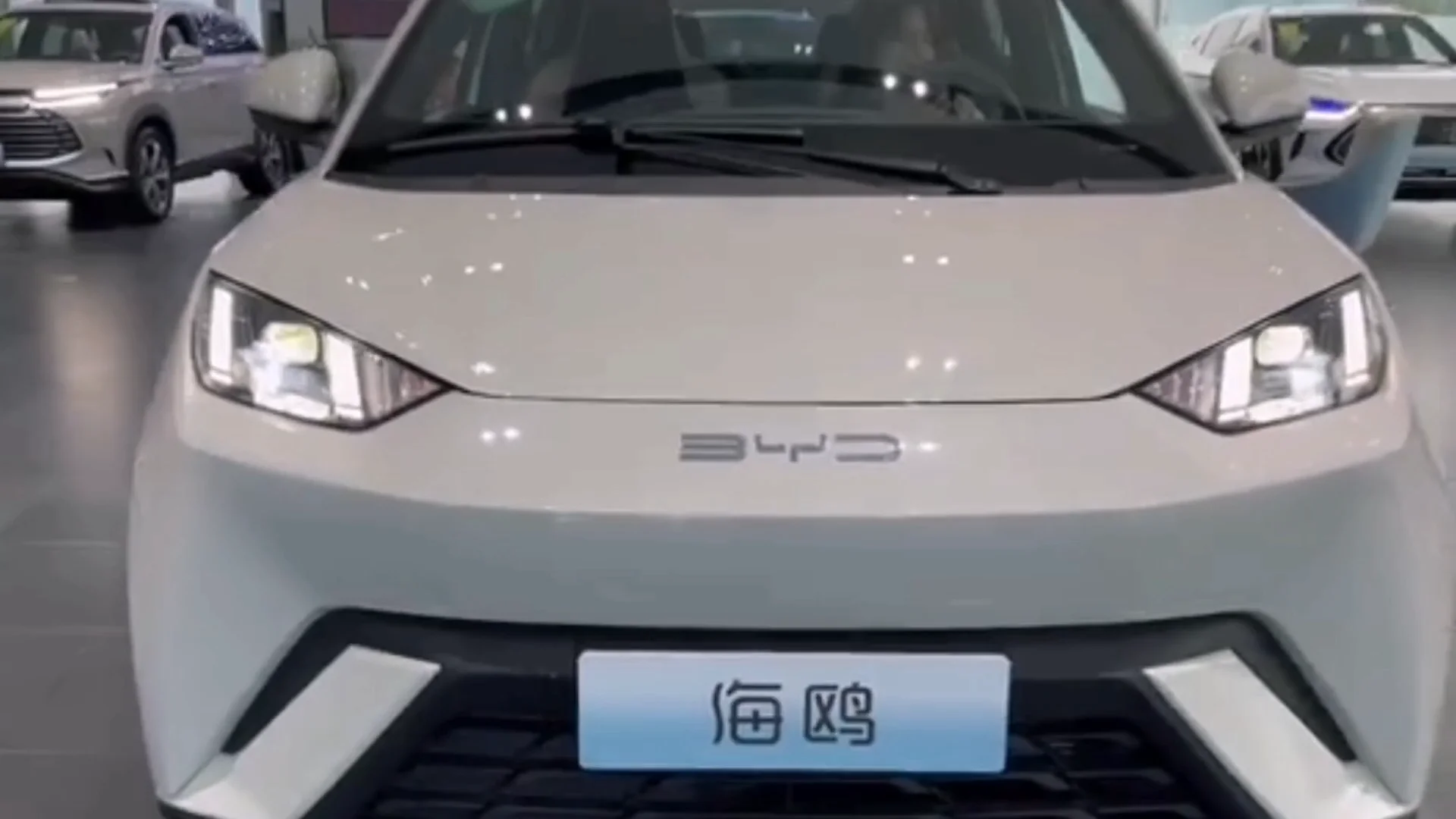 Byd Electric Cars 2024 New Cars Cheapest Suv Byd Seagull Pure Electric ...