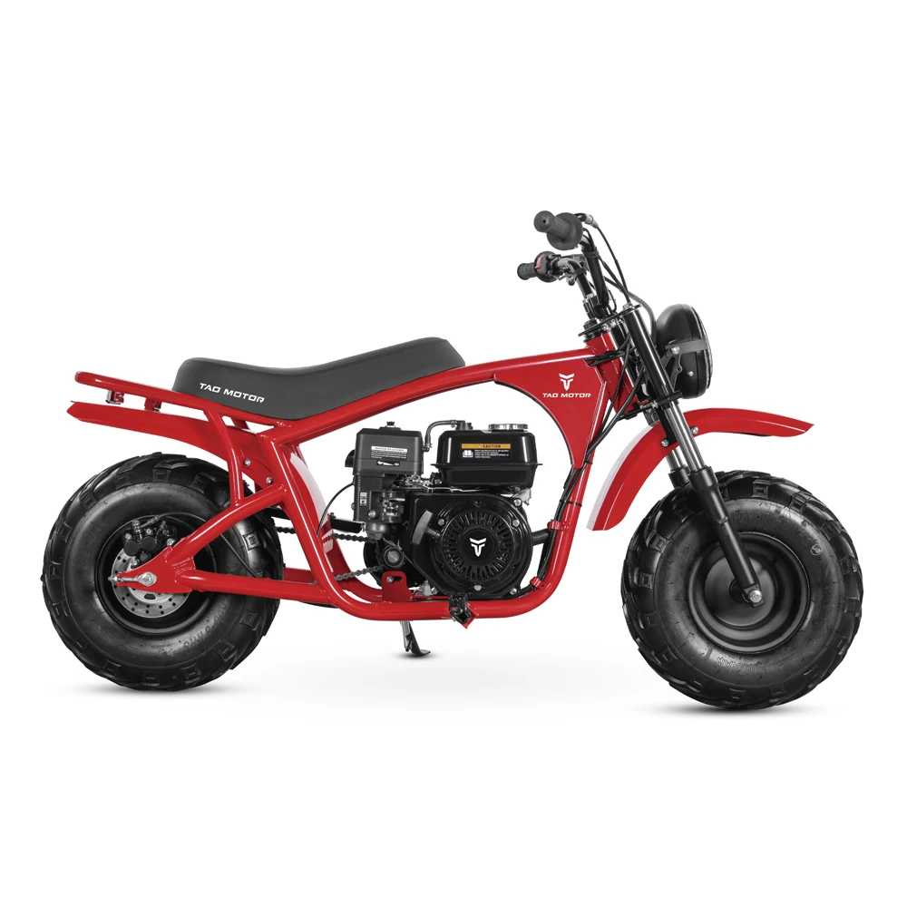 Tao Motor 2023 Kids Petrol Mini Dirt Bike - 200cc Fun
