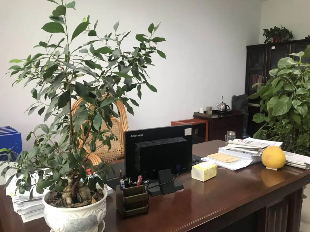 室外OPM30M OPM15M OPM50M OPM40M OPM15 OPM30电源模块| Alibaba.com