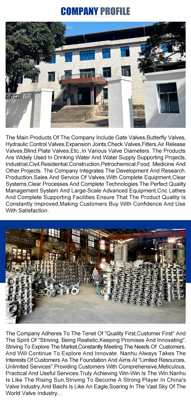 OEM Customizable Cast Iron Diaphragm Flanged Mud Valve Quick Open ...