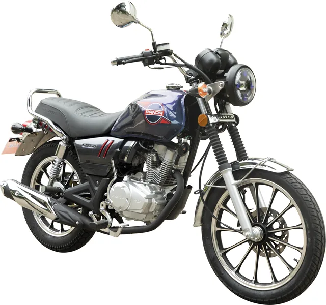 Company Overview - Guangzhou Dayun Motorcycle Co., Ltd.