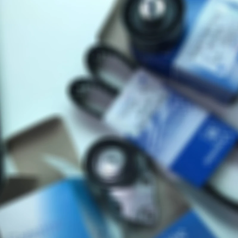 93744703 Oem Timing Belt Tensioner Kit For Todos Aveo 93744703 96350526 ...