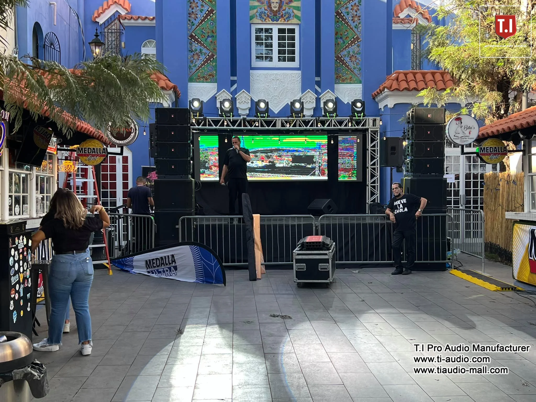 High Quality 400 Watts RMS Two Way Passive Line Array Single 10 Inch Dj ...