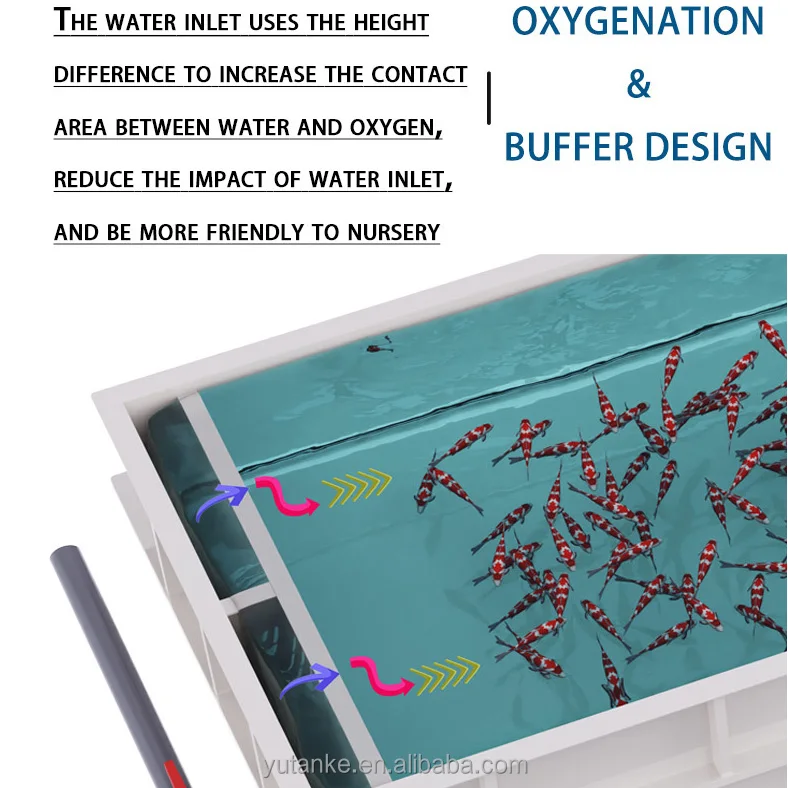 Square Fish Tanks - Durable & Efficient Aquatic Solutions