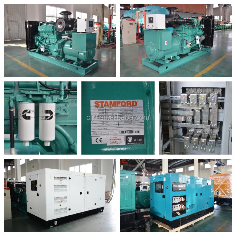 250kw Diesel Generator with Siemens Alternator - Reliable Power