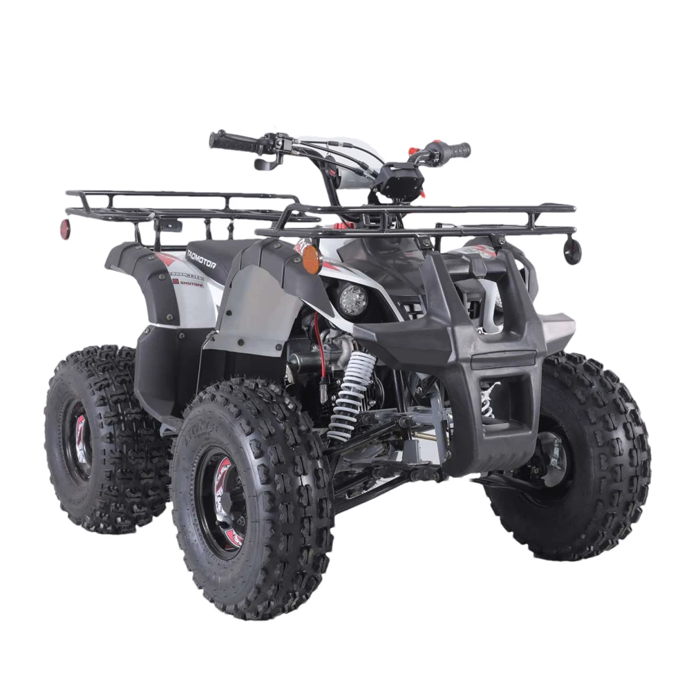 Tao Motor China - Durable Atvs for All Terrain Adventures
