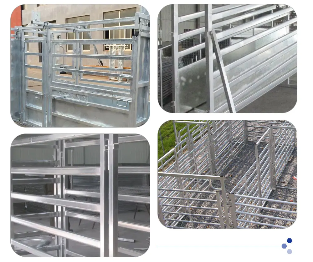 Galvanized Cattle Panel Squeeze Crush Cattle Handling Equipment With ...