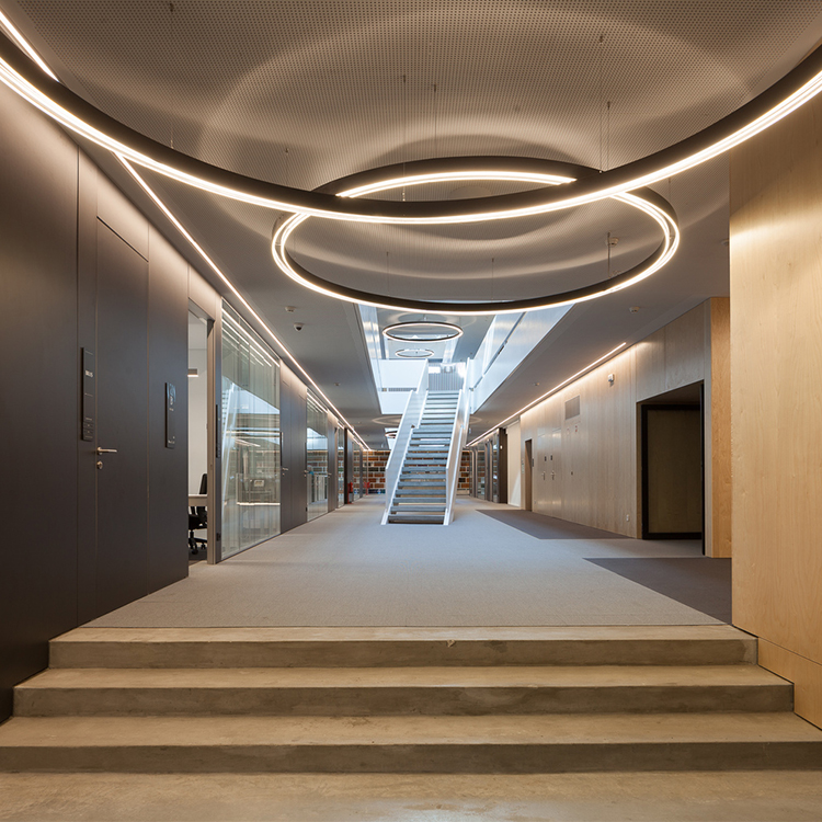 Modern Led Chandelier Circle Led Pendant Light 30w 40w 60w Led Hanging ...