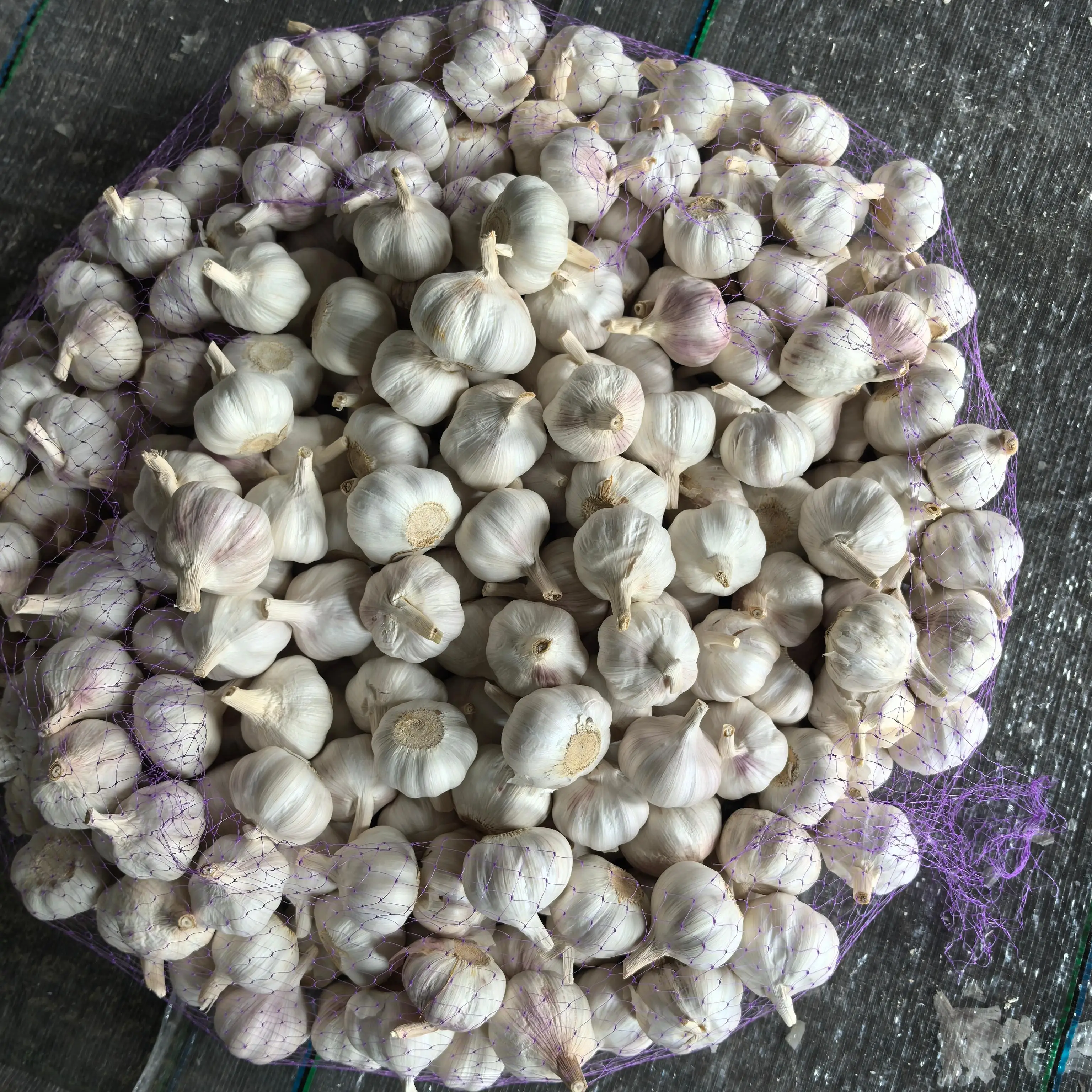 Fresh White Garlic Factory Wholesale 10kg/20kg Mesh Bag/Carton China ...