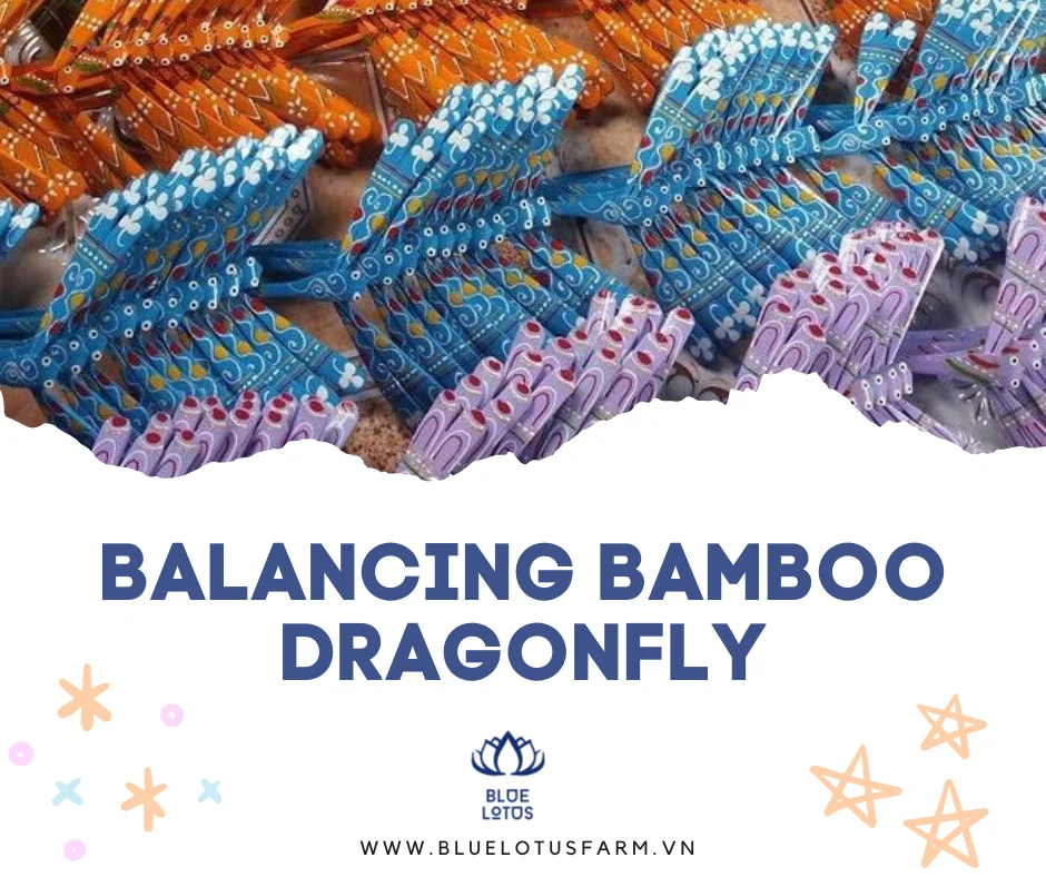 Handmade Balancing Bamboo Dragonfly Toy: Ingenious And Distinctive ...