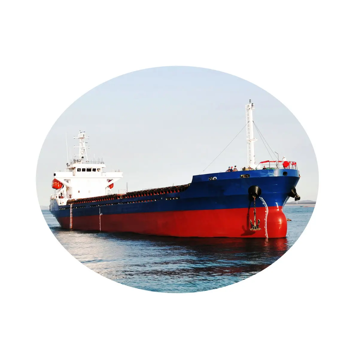 Steel Cargo Ship Bulk Ship 95.90m - 5200DWT Capacity