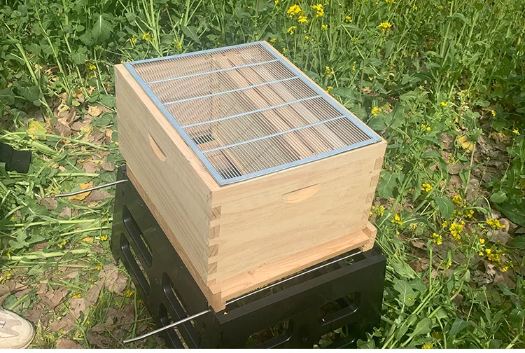 Wholesale Langstroth Bee Hive Boxes - Durable & Efficient
