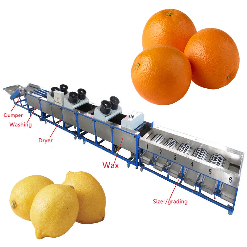 Industrial Lemon Mandarin Orange Citrus Washing Waxing Grading Machine - Buy Lemon Washing ...