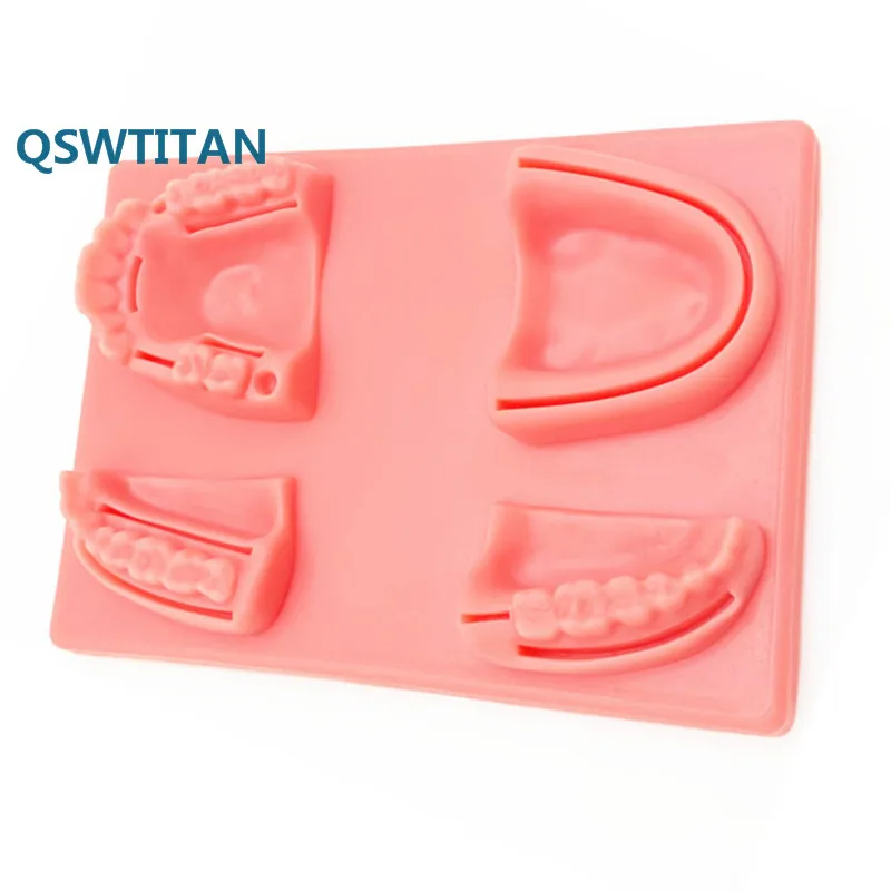 Silicone Human Skin Oral Teeth Gum Suture Training Pad Common Types of ...