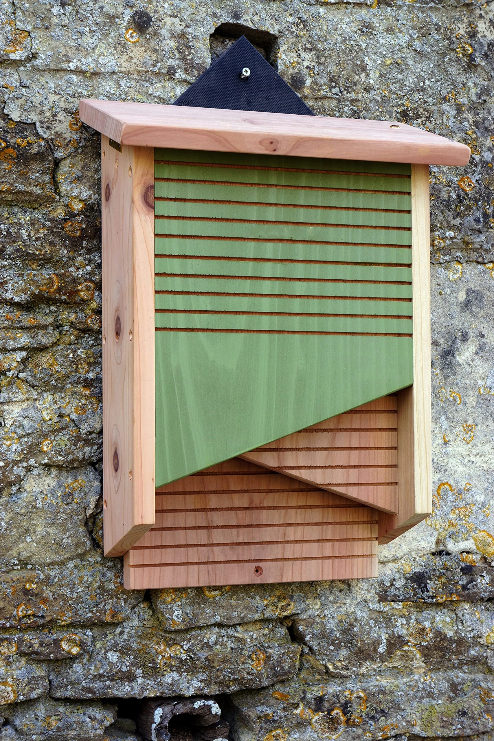 Wildlife World Outdoors With Improved Airflow To Both Chambers Bat ...