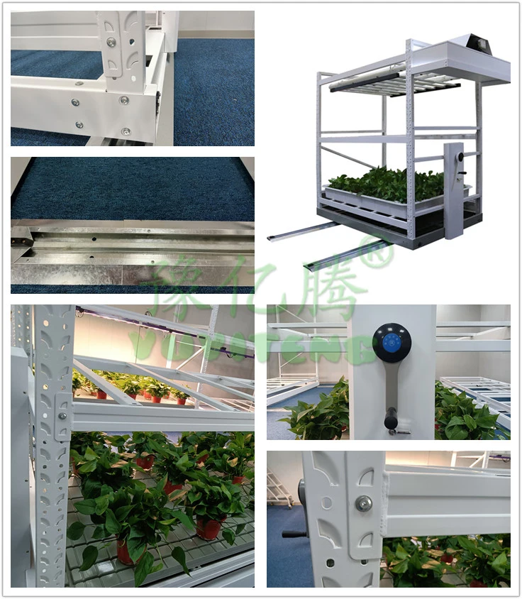 Factory Direct Vertical Grow Rack For Medical Plant Cultivation For ...