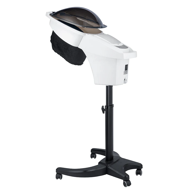 Professional Ultrasonic Micro Mist Led Light Nano Mist Hair Steamer ...