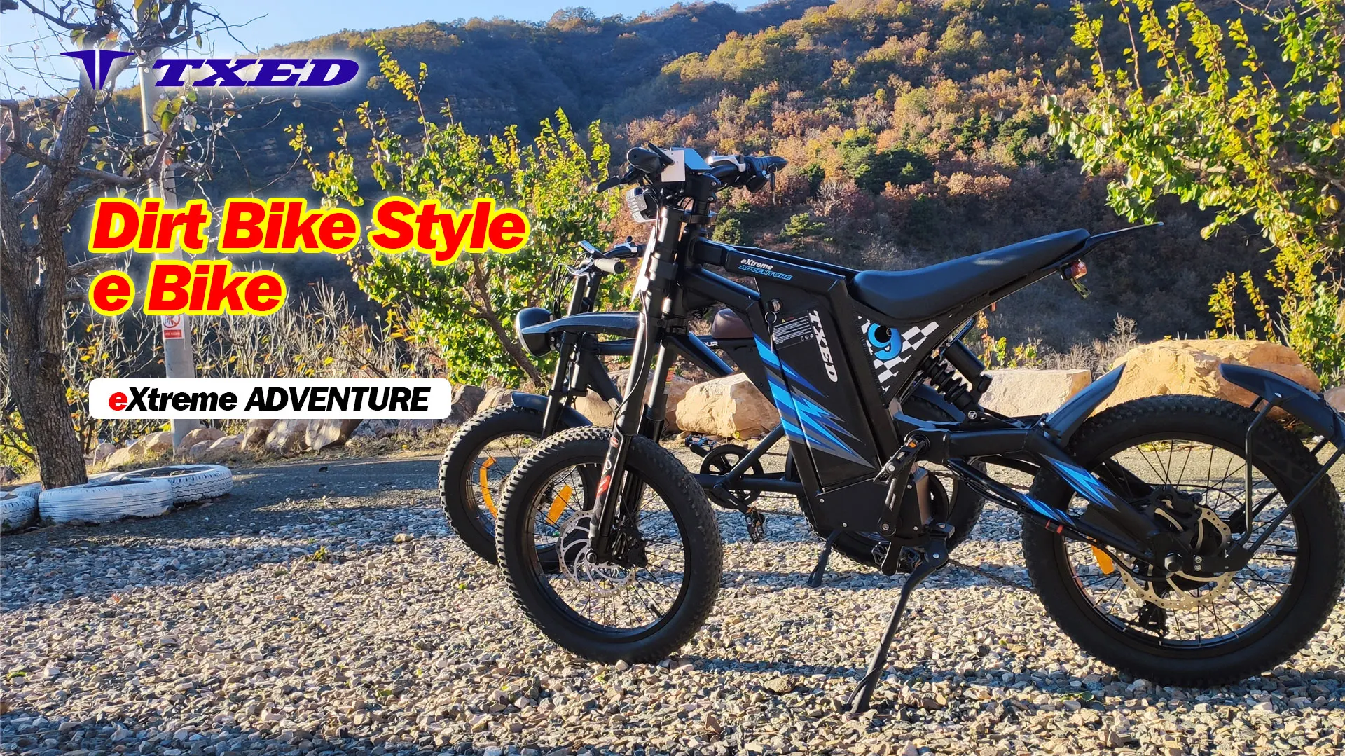 TXED off-Road 52V High Power 1000w Dirt E Bike - Full Suspension