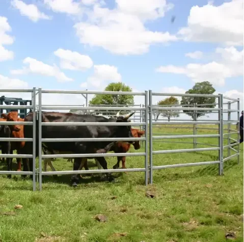 4ft 5ft 6ft 8ft Height Pasture Fence for Livestock Farming