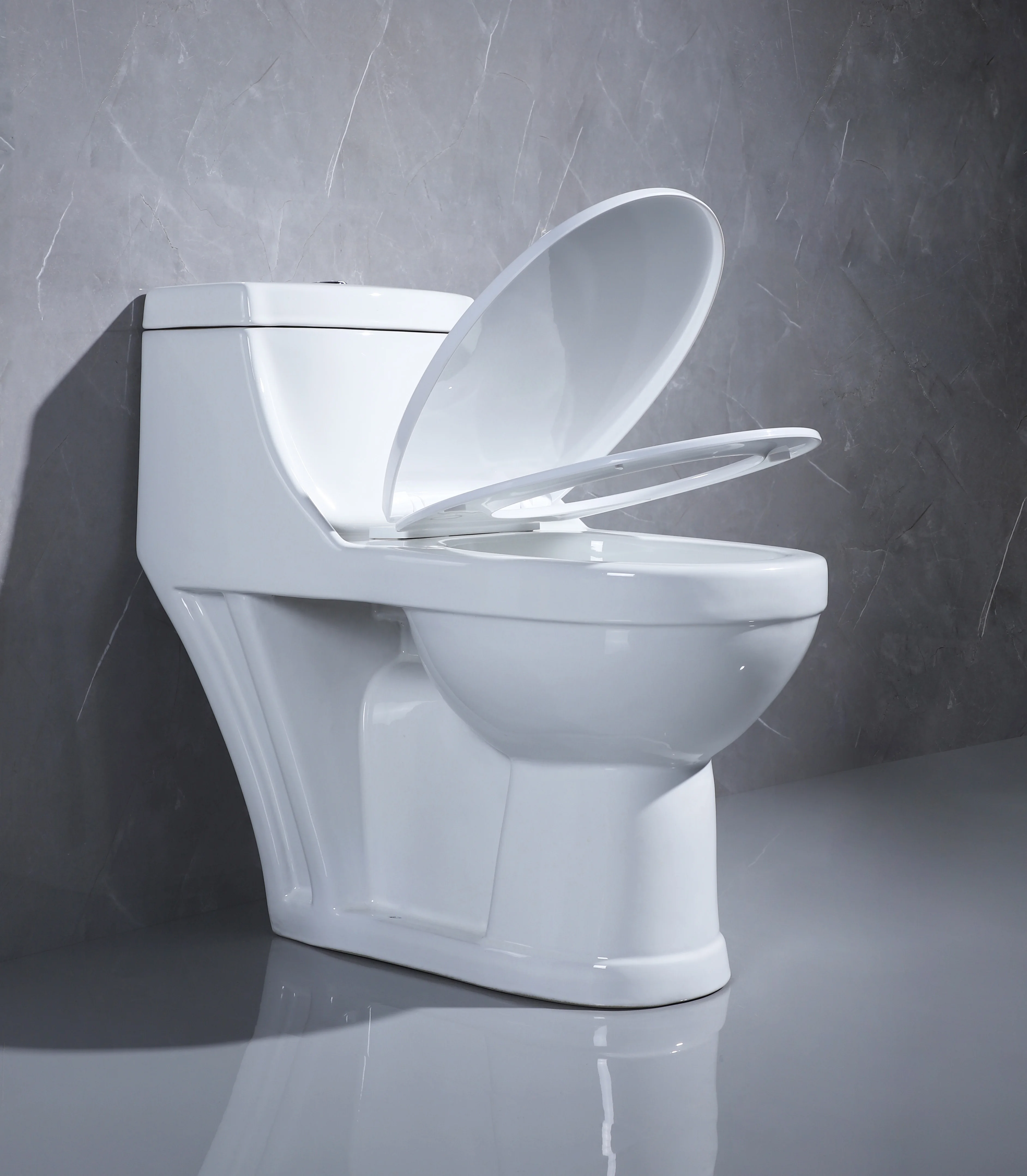 Modern One-Piece Ceramic WC with S-Trap Floor Mounted Vortex Flushing ...