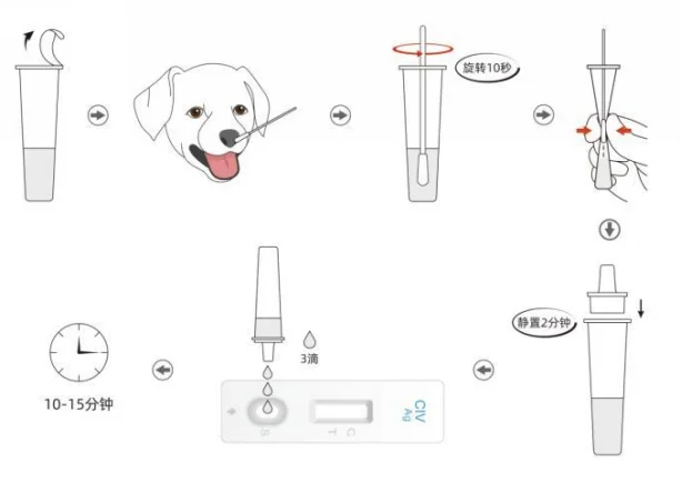 Veterinary Canine Influenza Virus Antigen (civ Ag) Test Kit Accurate ...