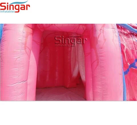 Giant Inflatable Medical Heart Model for Science Education