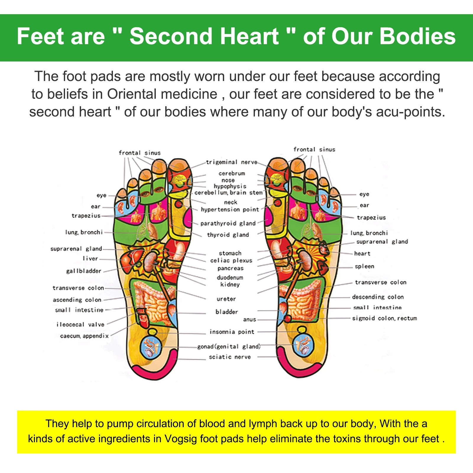SEFUDUN Foot Detox Pads - Herbal Bamboo Vinegar & Ginger Detox Patches ...