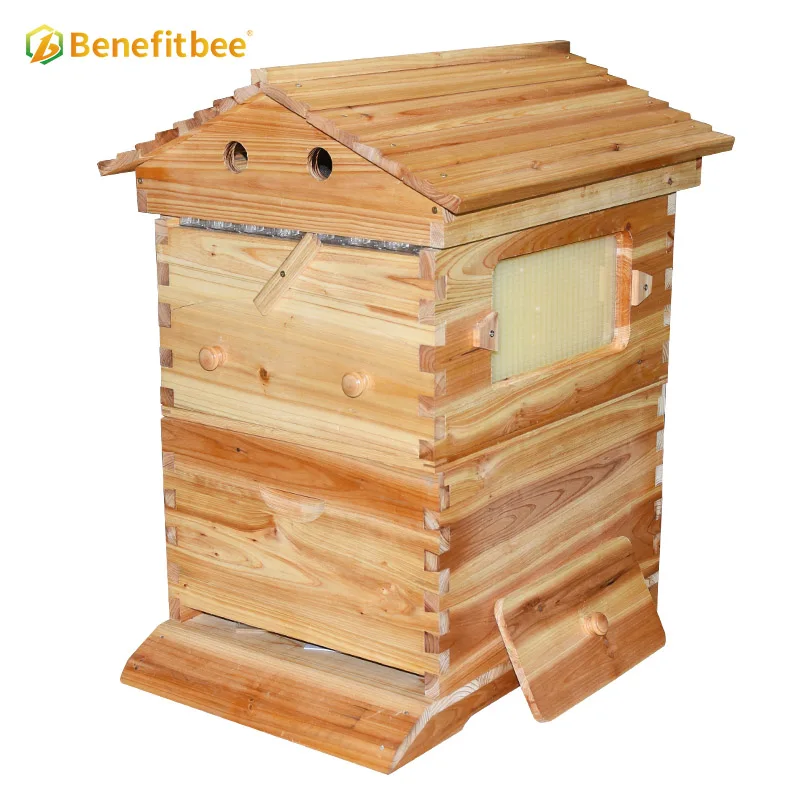 Benefitbee Automatic Self-Flowing Bee Hive - Apiculture
