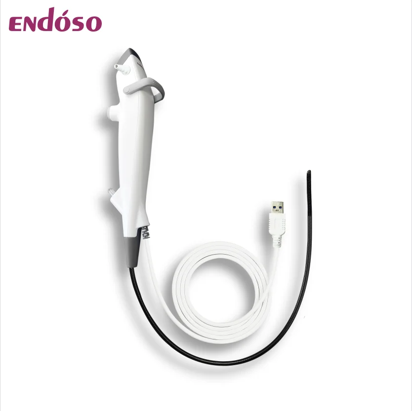 Endoso Video Coledocoscopio Medico Desechable Colecistoscopio Flexible ...