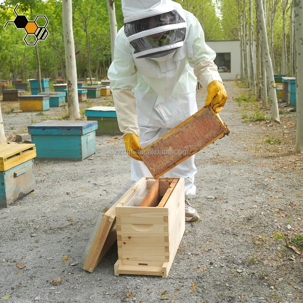 5 Frames Wooden Langstroth Nucleus Beehive Mini Nuc Bee Box| Alibaba.com