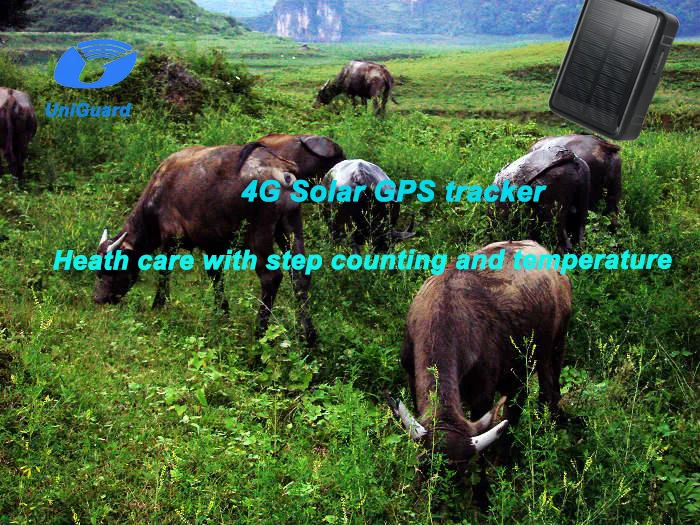 Alibaba.com: Solar-powered GPS tracking animal microchips for anti ...