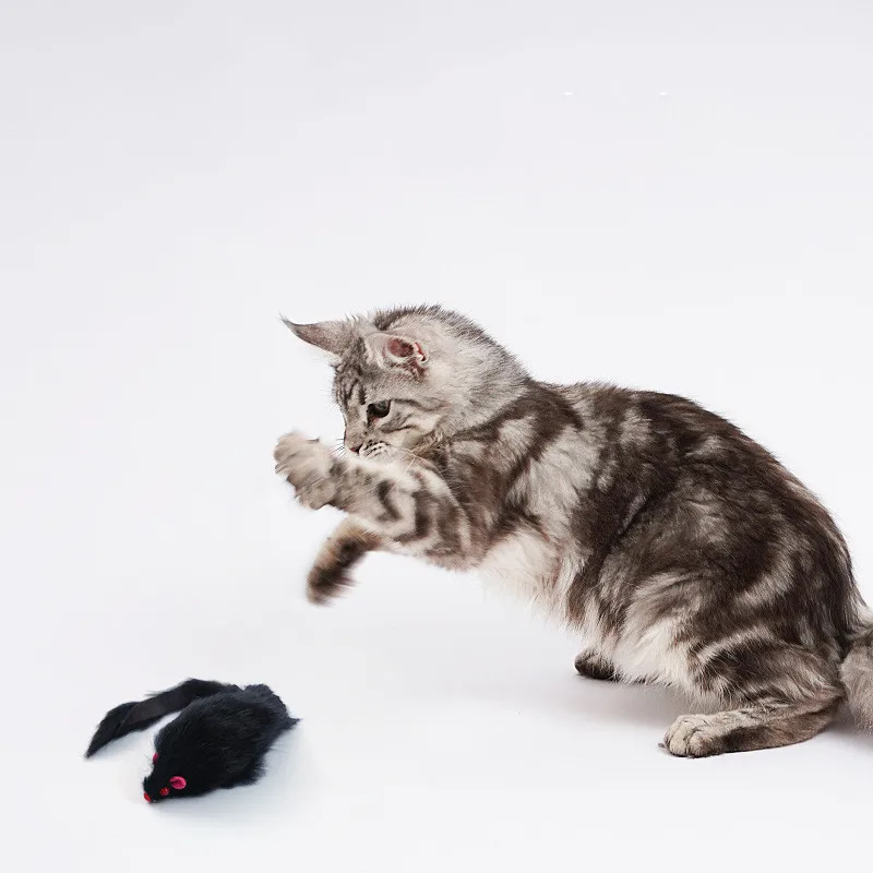 Wholesale Cat Toy Fluffy Mouse Toy Simulation Cat Mouse Toy - Buy Cat ...