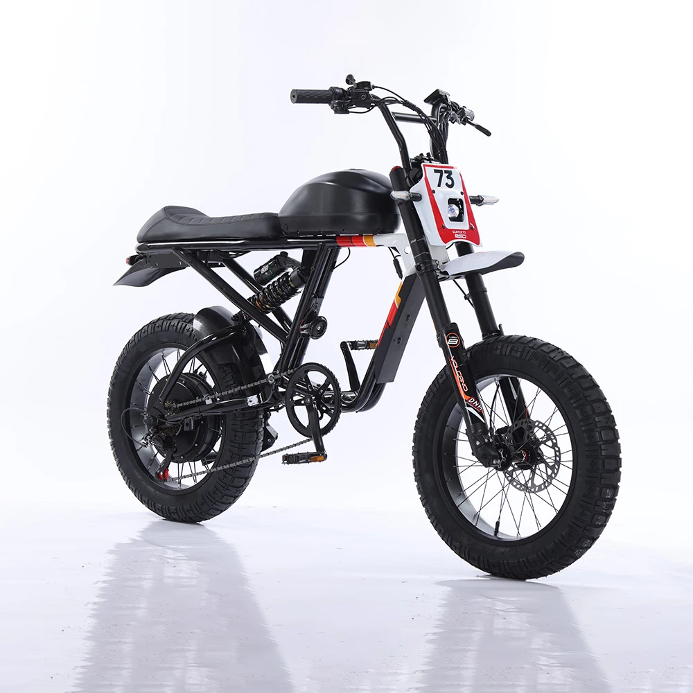 2024 Electric Bike 48v 1500w Ebike For Adults Electrical Bike 1000w Super 20*4.0inch Snow ...