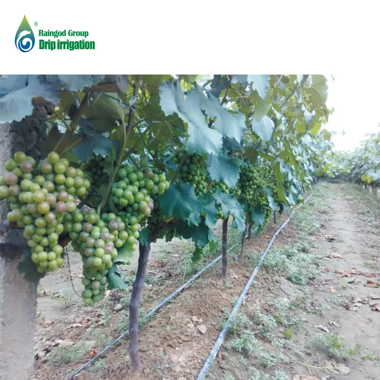 Durable and Efficient Drip Irrigation System for Farms