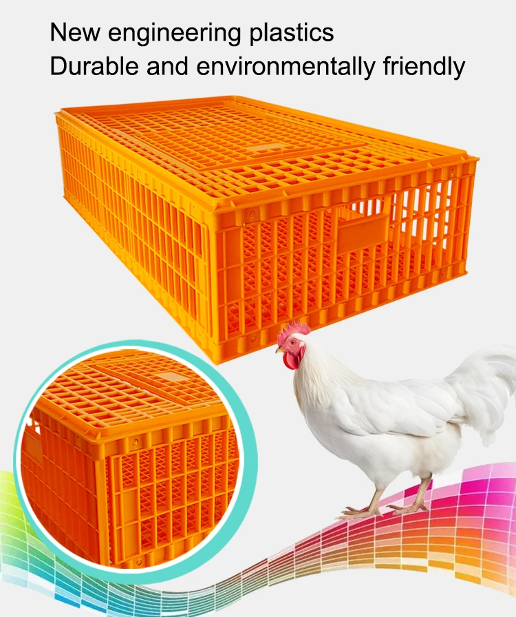 Durable Poultry Transport Cages - Customized Solutions