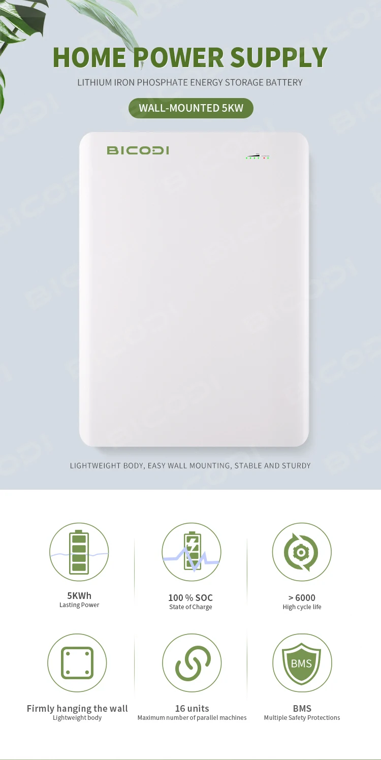 Bicodi Residential 220v Power Station 5kwh 51.2v Lifepo4 Lithium ...