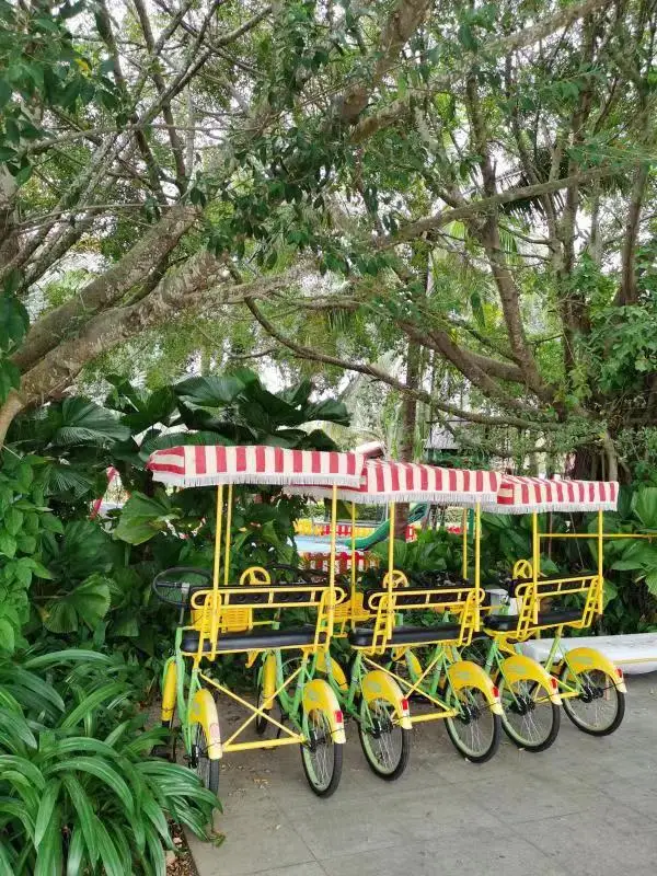 Fun Family Touring - 4 Person Surrey Bike by LY Bicycles